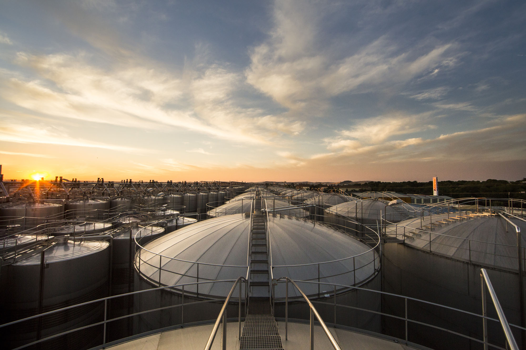 Company | Félix Solís